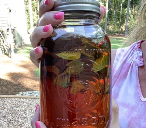 At Home in the Wildwood >