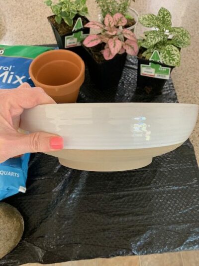 How to Make a Resurrection Garden