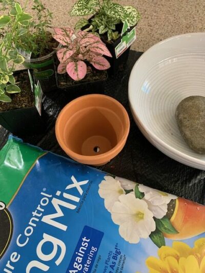 How to Make a Resurrection Garden