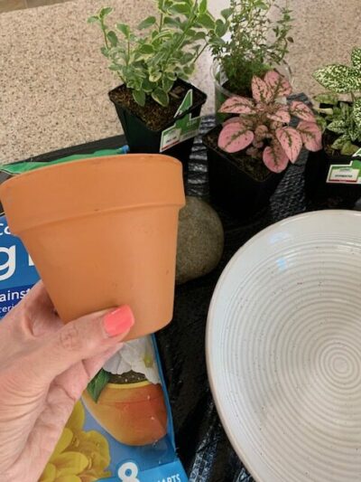 How to Make a Resurrection Garden